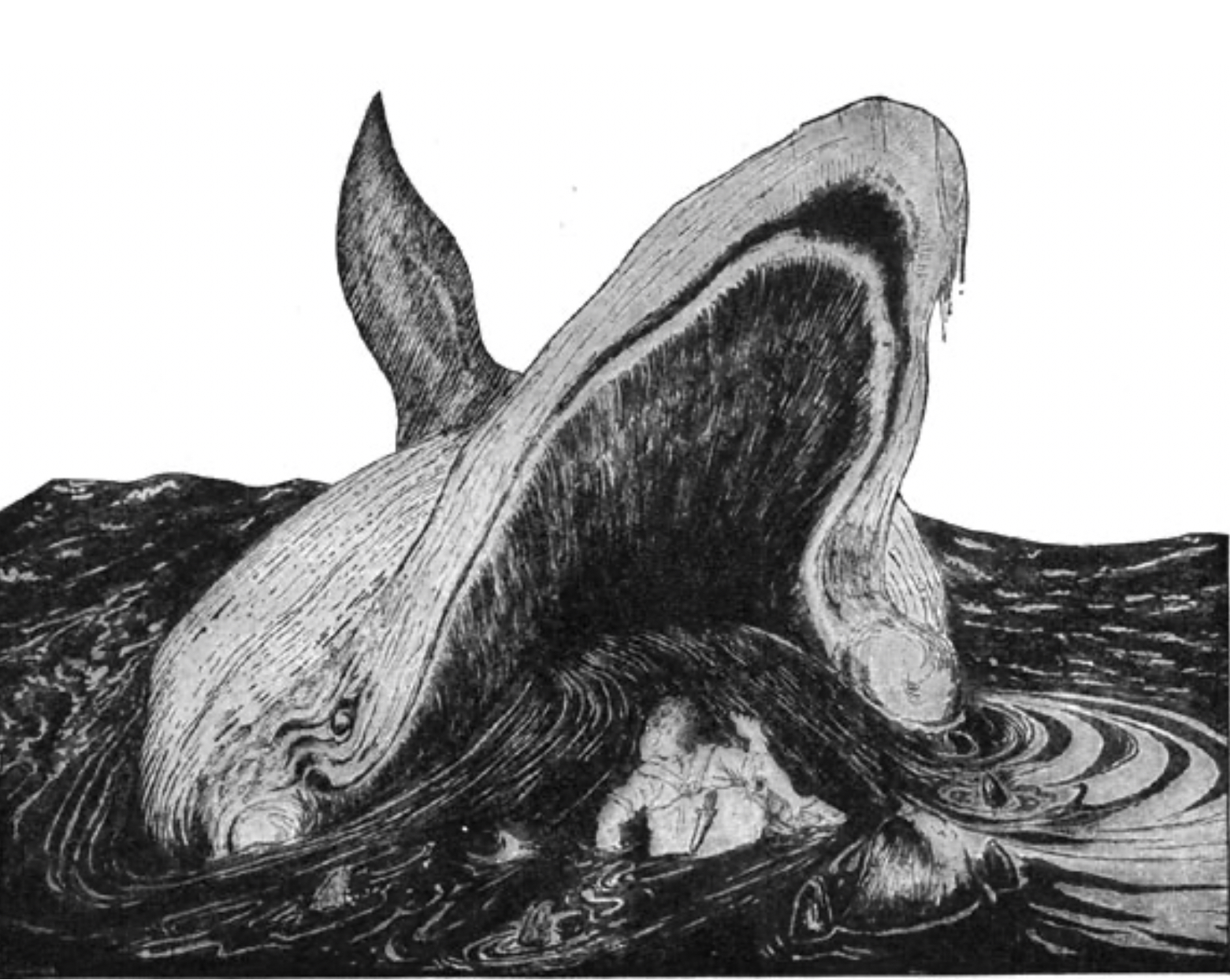 What We Learn from the Dark and Light Themes within Kipling's Books | COVE