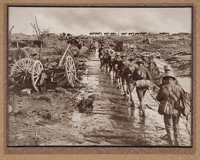 The Front Line | COVE