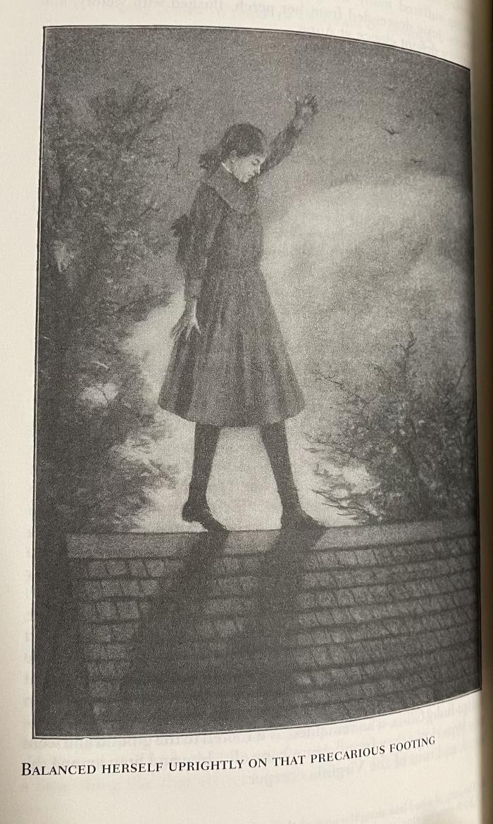 From Didacticism to Entertainment: The Evolution of Children's ...