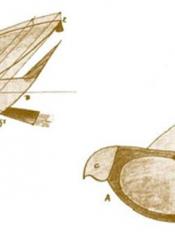 Archytas Creates the Flying Pigeon | COVE