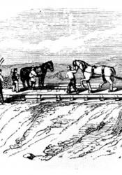 Horses in Victorian Britain: Fighting Abuse and Exploitation | COVE